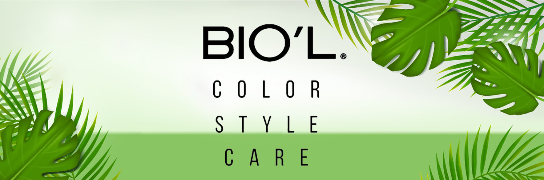 بیول | قیمت انواع محصولات BIOL